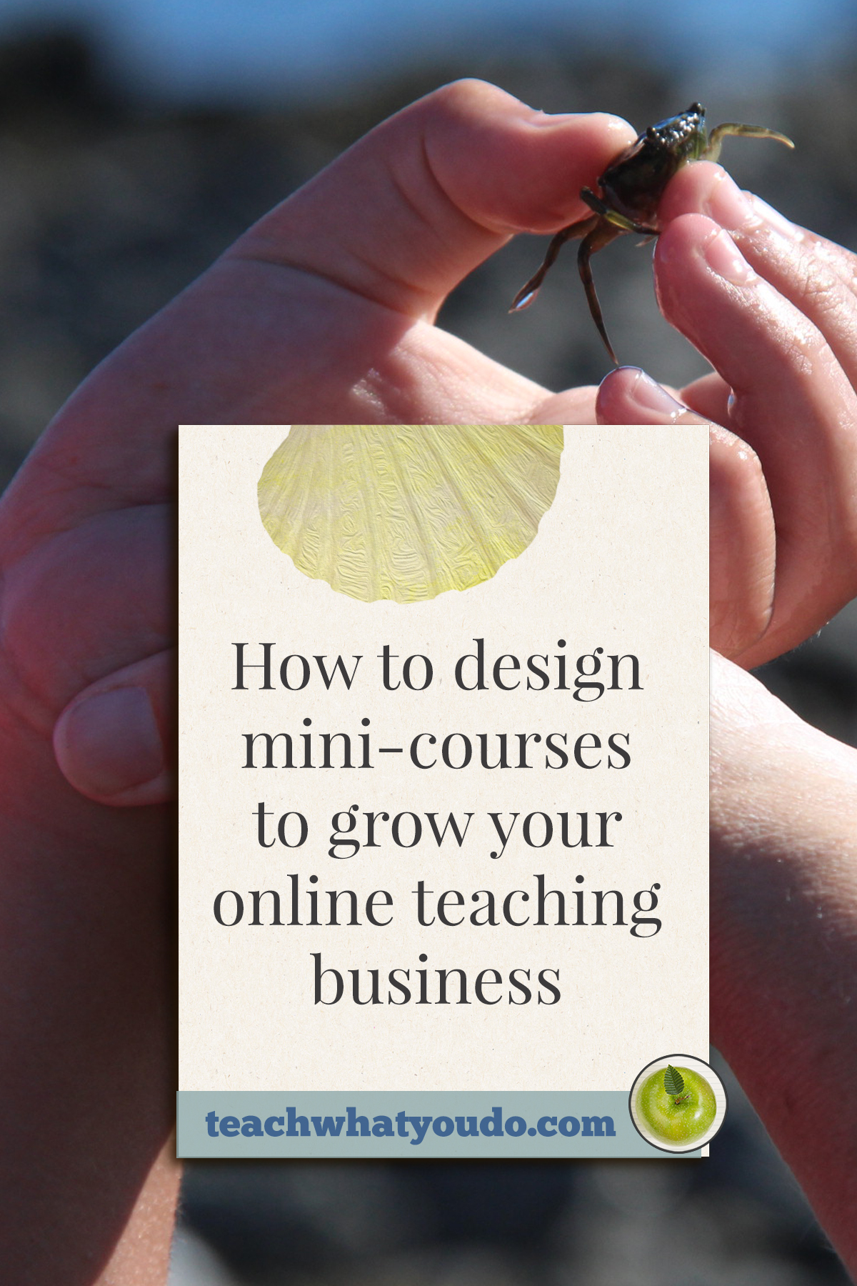 How to design mini-courses to grow your online teaching business ...