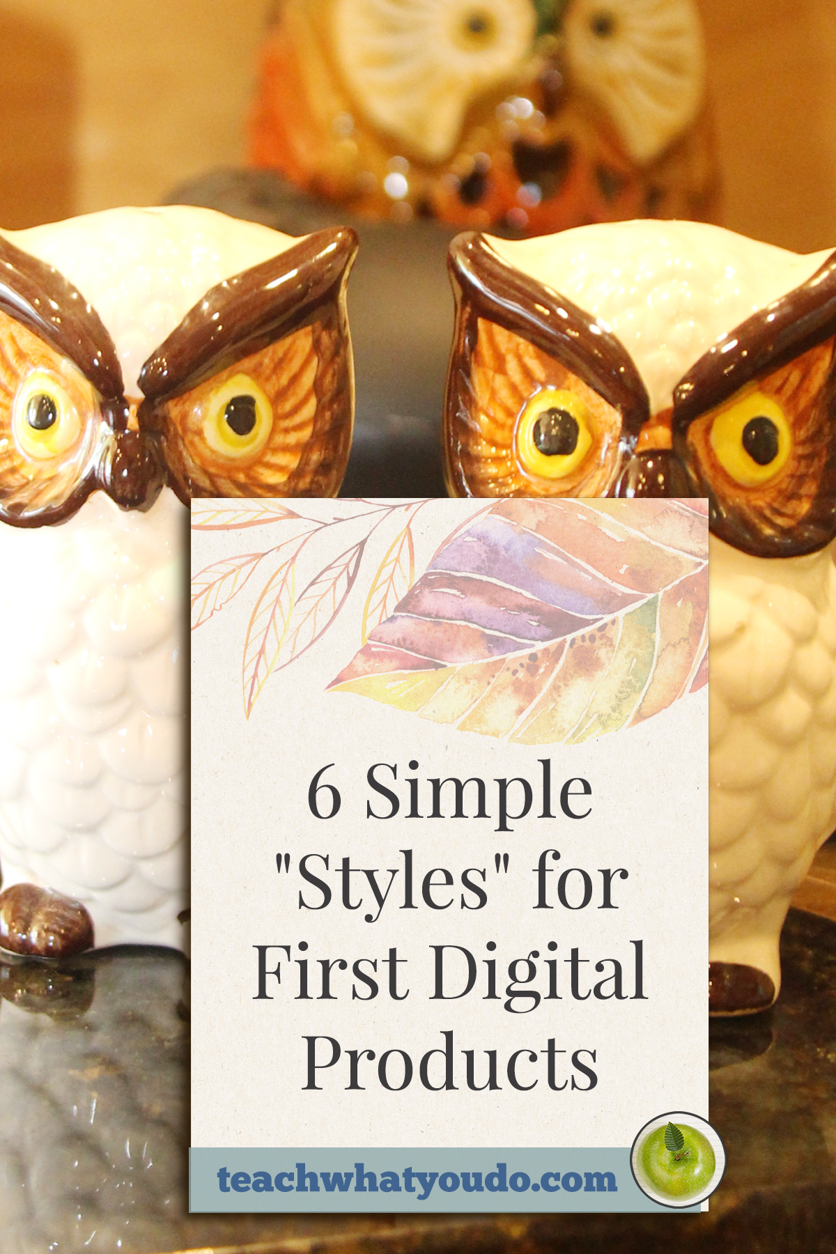 6 Simple "Styles" for First Digital Products - Teach What You Do®