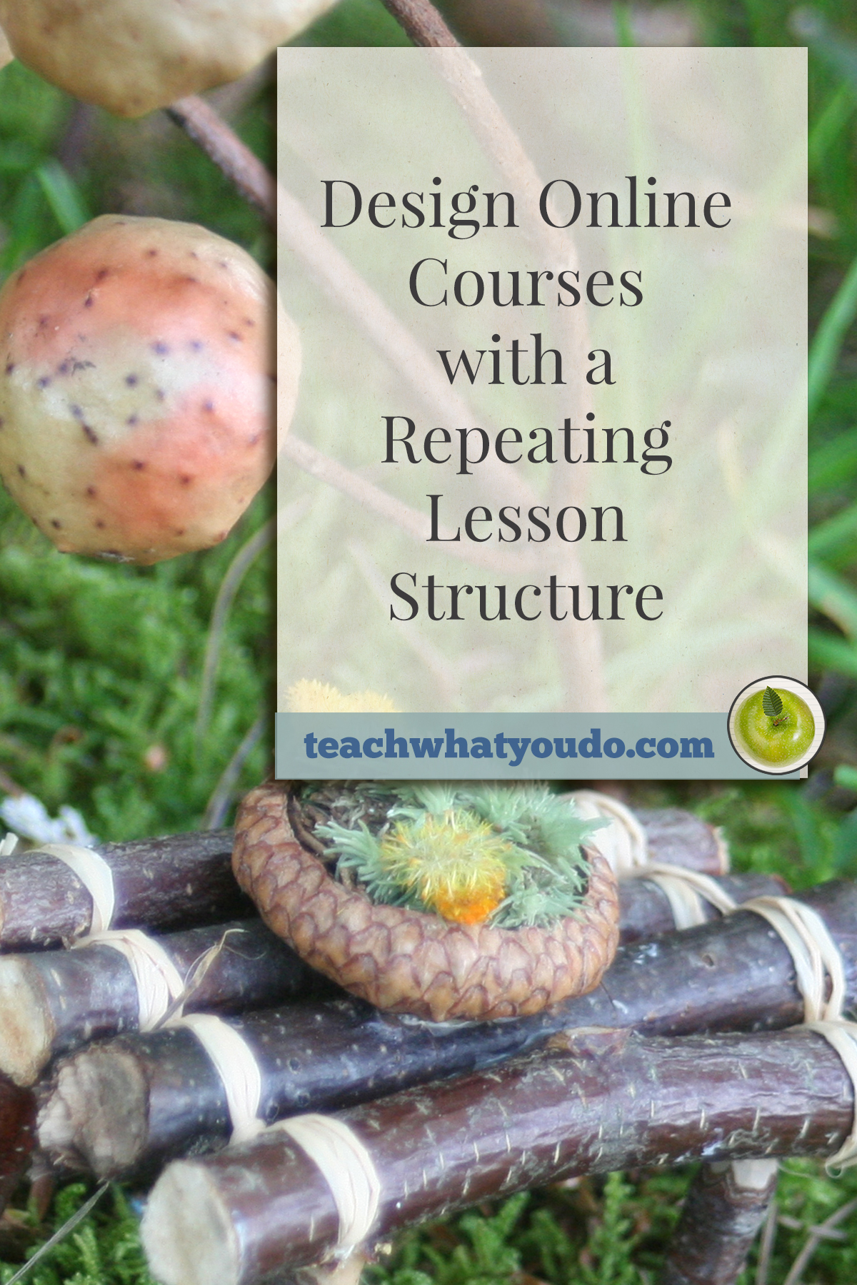Design Online Courses with a Repeating Lesson Structure - Teach What ...